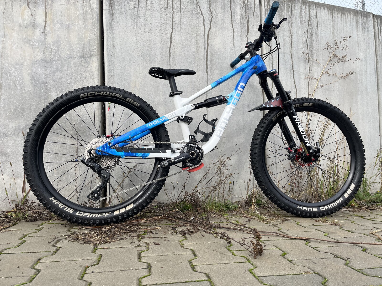 Polygon Siskiu D24 custom paint - TeHa's Bike Check - Vital MTB