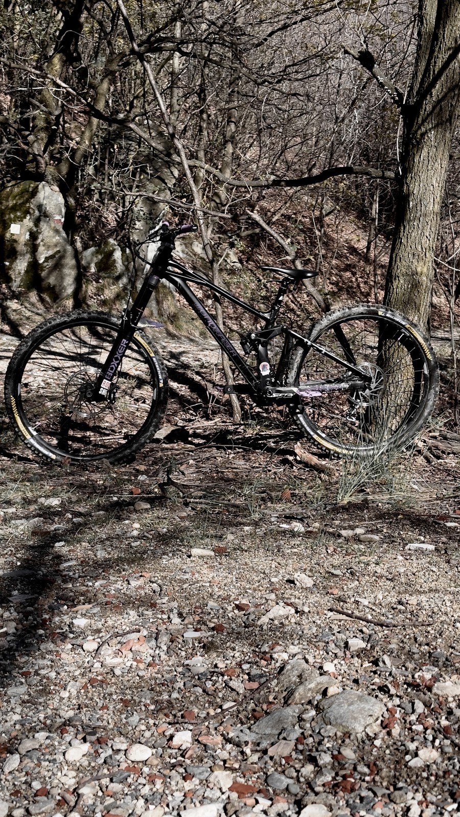 Mondraker Summum MX (Godzilla) - _matt_purple_'s Bike Check - Vital MTB