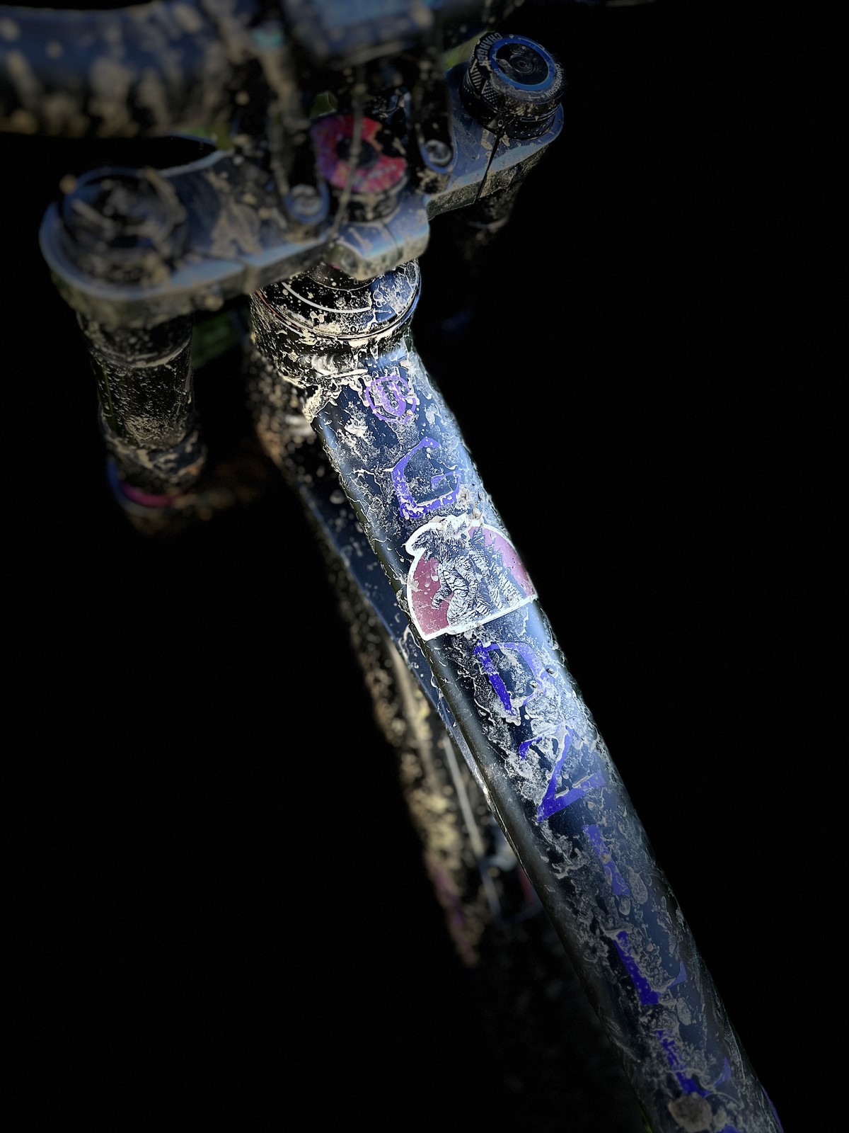 Mondraker Summum MX (Godzilla) - _matt_purple_'s Bike Check - Vital MTB