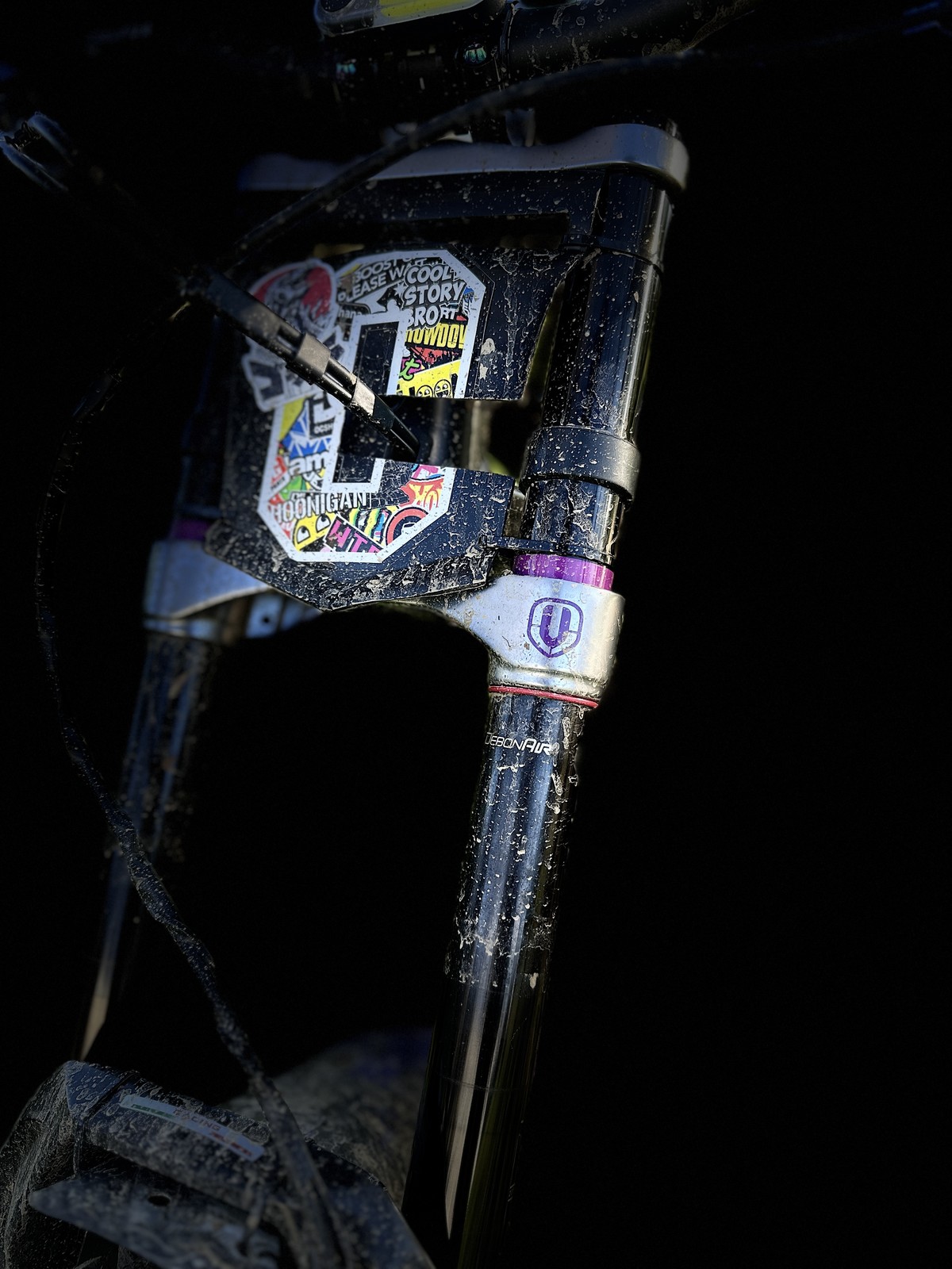 Mondraker Summum MX (Godzilla) - _matt_purple_'s Bike Check - Vital MTB