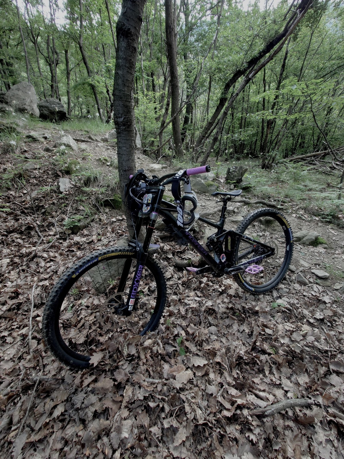 Mondraker Summum ( Godzilla MX ) - _matt_purple_'s Bike Check - Vital MTB