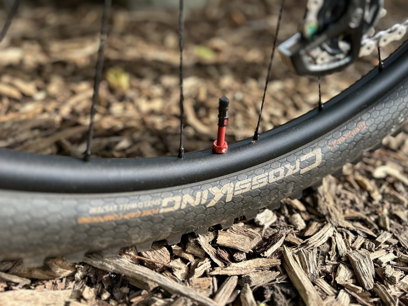 2021 Banshee Phantom V3 - EliKaz🇺🇸's Bike Check - Vital MTB