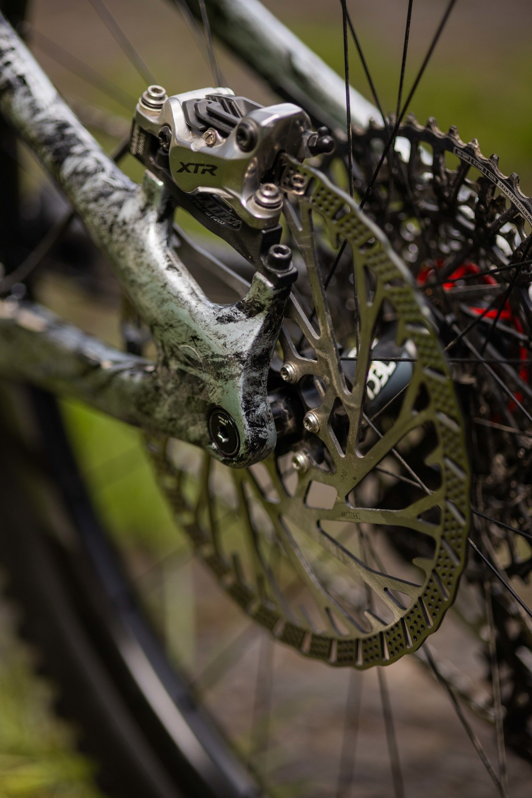 Giant Reign Advanced Pro 29 Custom paint - juliendeschamps's Bike Check - Vital MTB