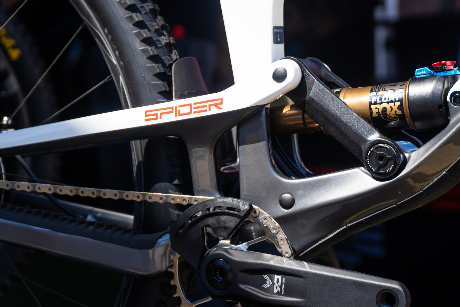 Intense Spider - Sea Otter 2025 Day 1 Part 1 - Mountain Biking Pictures ...