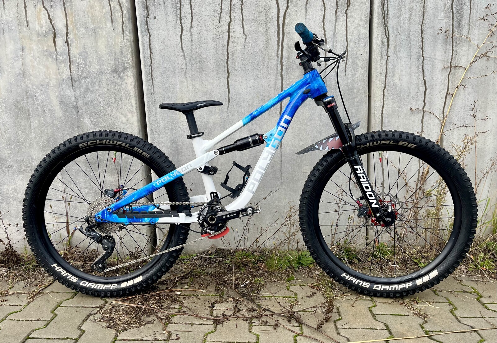 Polygon Siskiu D24 - Vital Bike of the Day October 2025 - Mountain ...