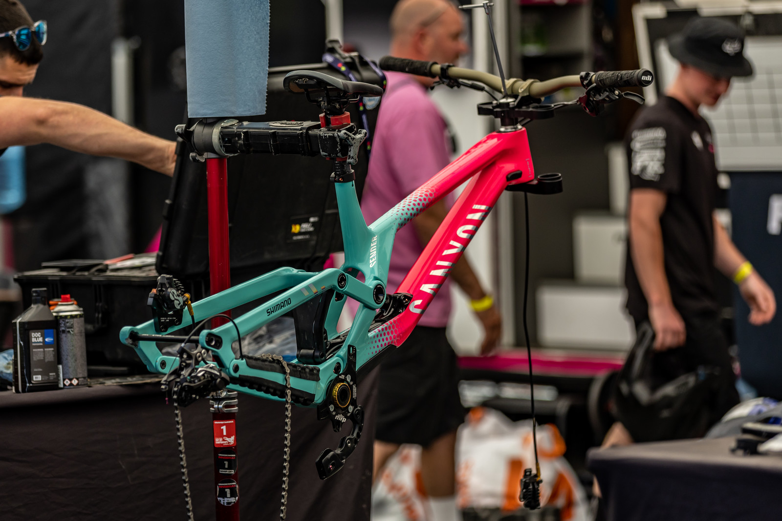 Canyon FMD pits, Phoebe Gale's Sender - PIT BITS 2 - 2023 World Cup ...