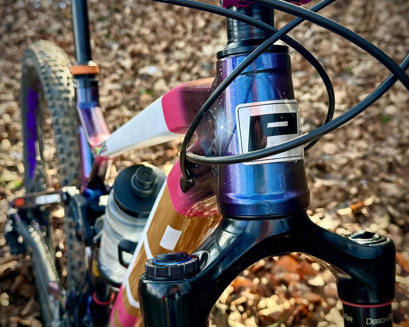 PYGA Hyrax Custom - conraddavies's Bike Check - Vital MTB