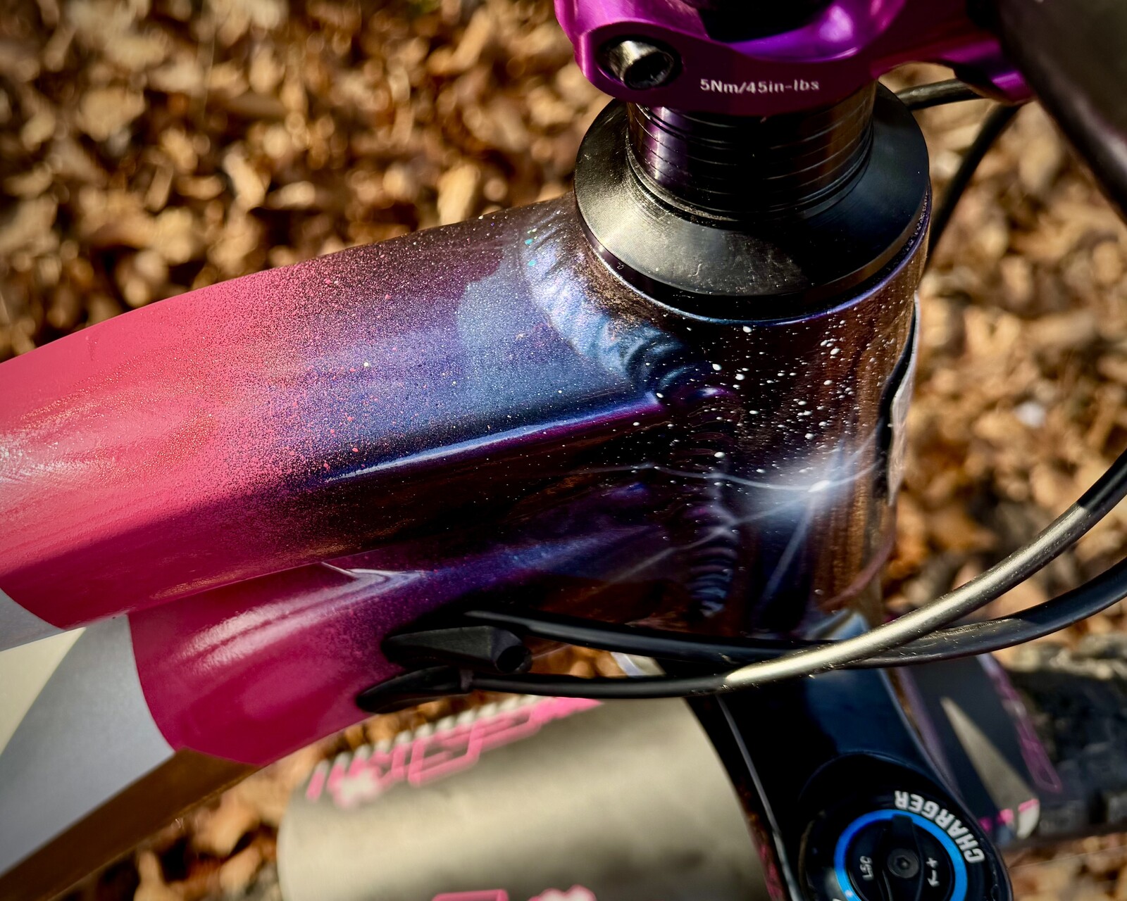 PYGA Hyrax Custom - conraddavies's Bike Check - Vital MTB