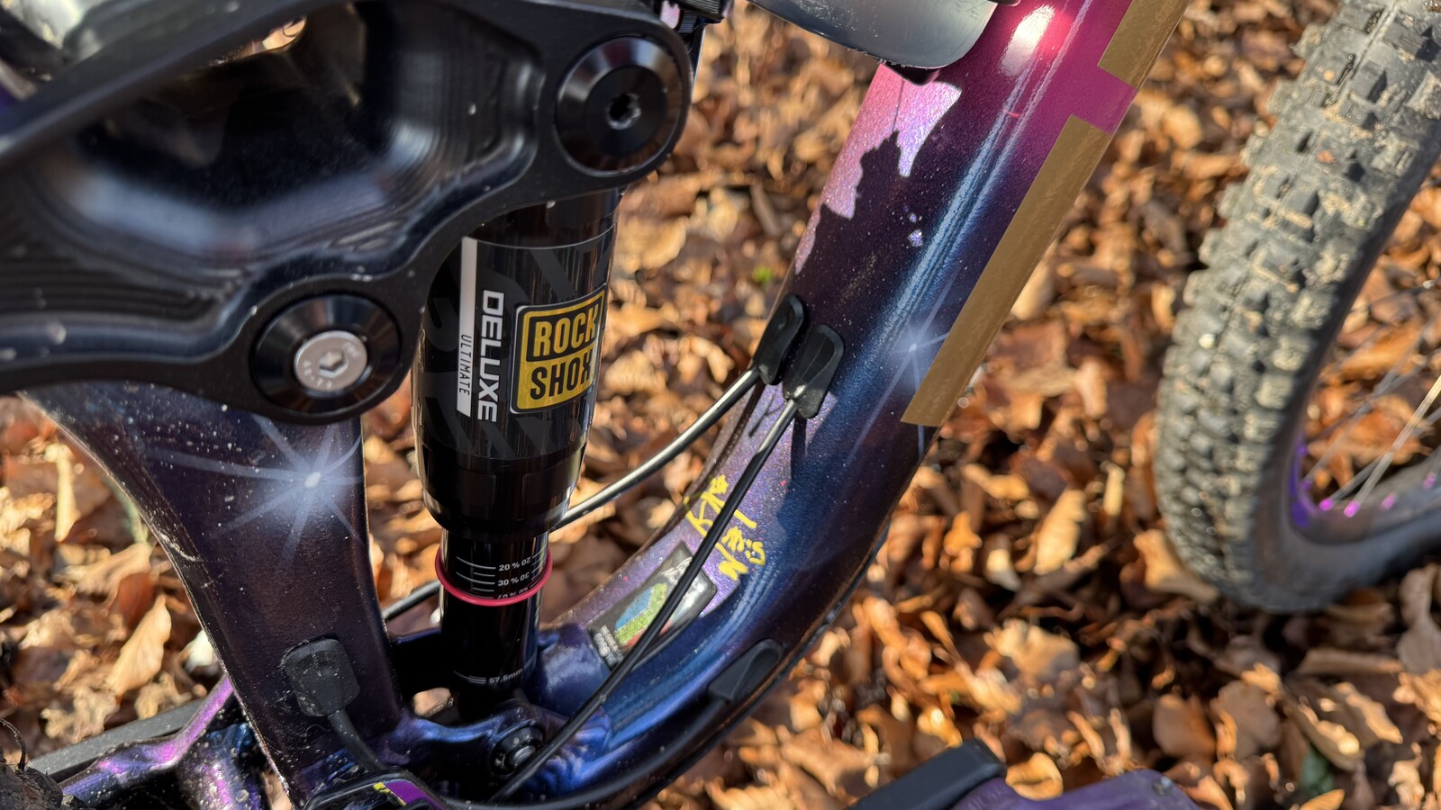 PYGA Hyrax Custom - conraddavies's Bike Check - Vital MTB