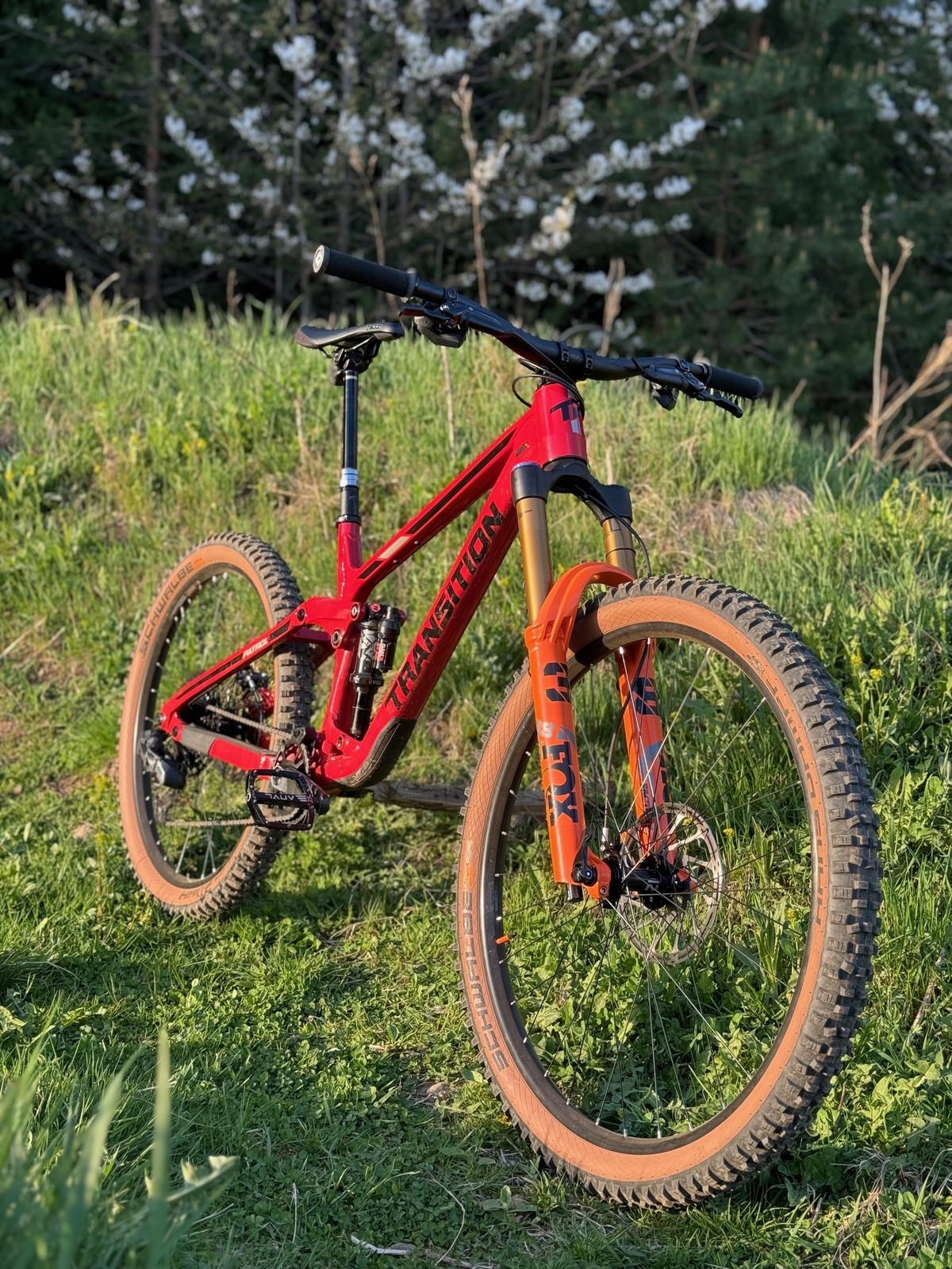 Transition Patrol Alloy 2023 - ETBMX's Bike Check - Vital MTB