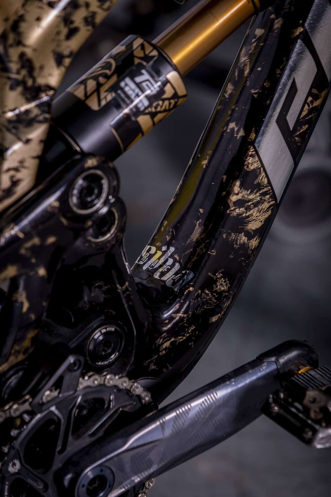 Pivot Forged Carbon - rafaelsilva's Bike Check - Vital MTB