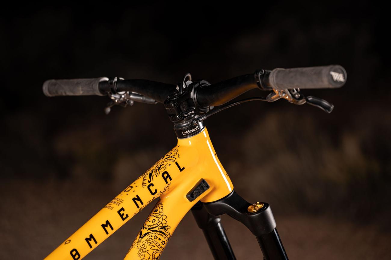Brett Rheeder's Custom Commencal FRS for Red Bull Rampage 2022 ...