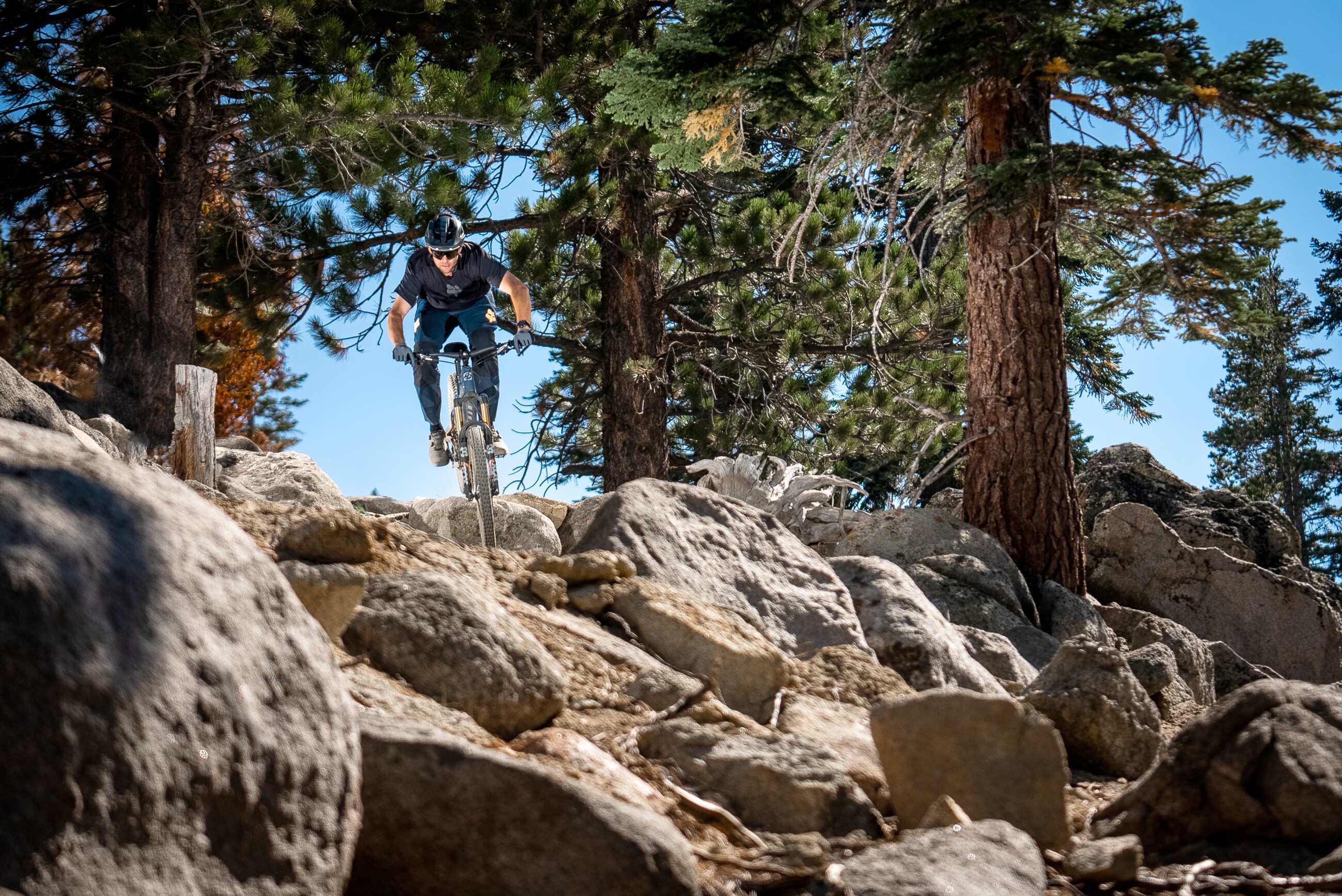 REVIEW - Pivot Shuttle LT - Mountain Bike Feature - Vital MTB