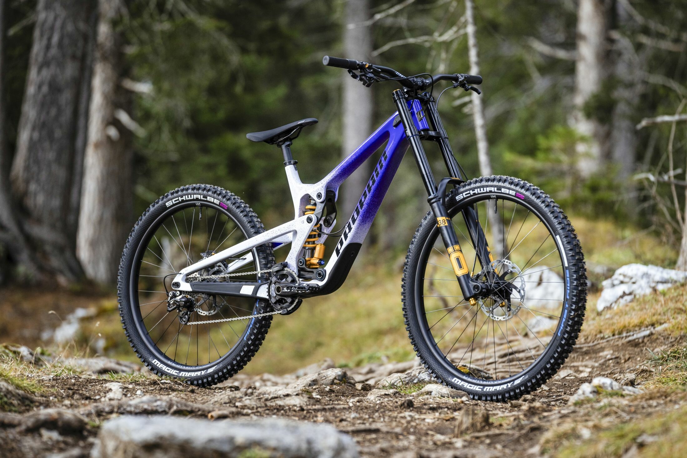 Propain Introduces the RAGE 3 R CF - Mountain Bike Press Release - Vital MTB