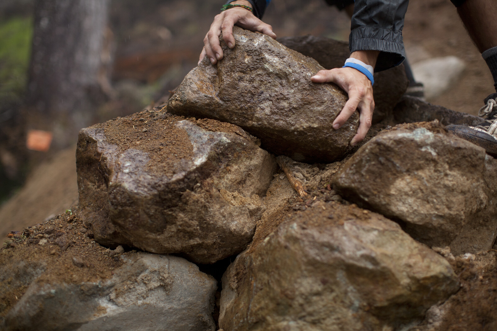 Introducing Trail Born - SHIMANO Commits $10 Million To Global MTB ...