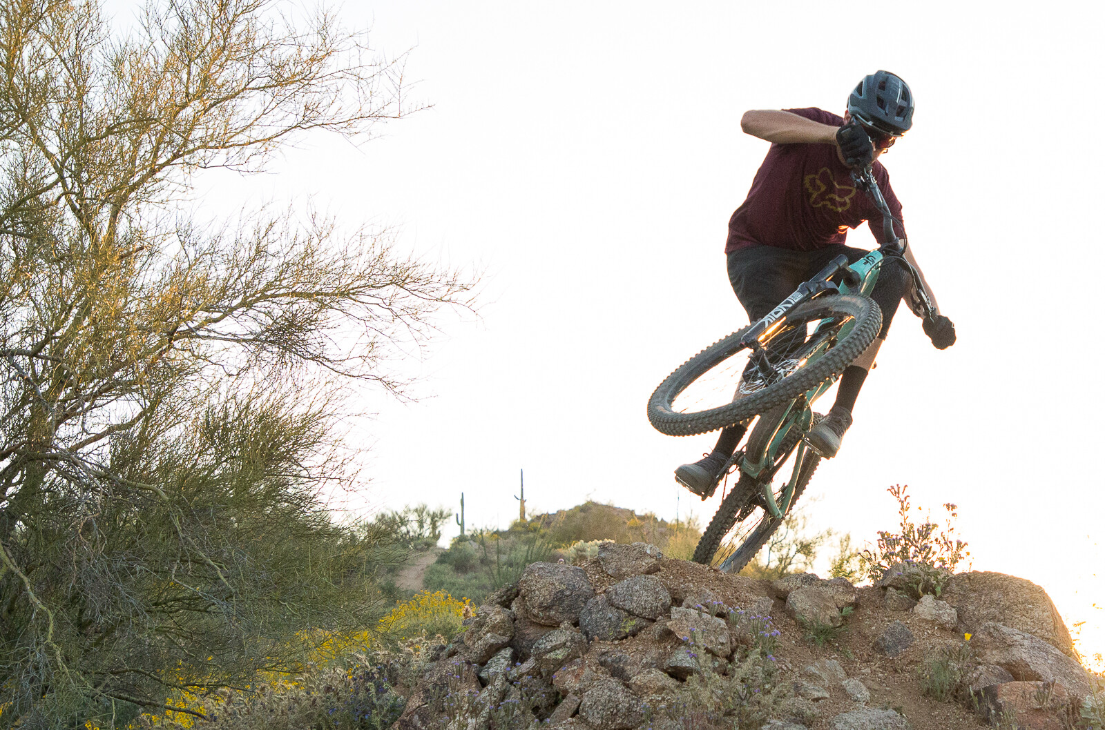 First Look: GT Sensor Carbon Pro LE - Mountain Bike Press Release ...