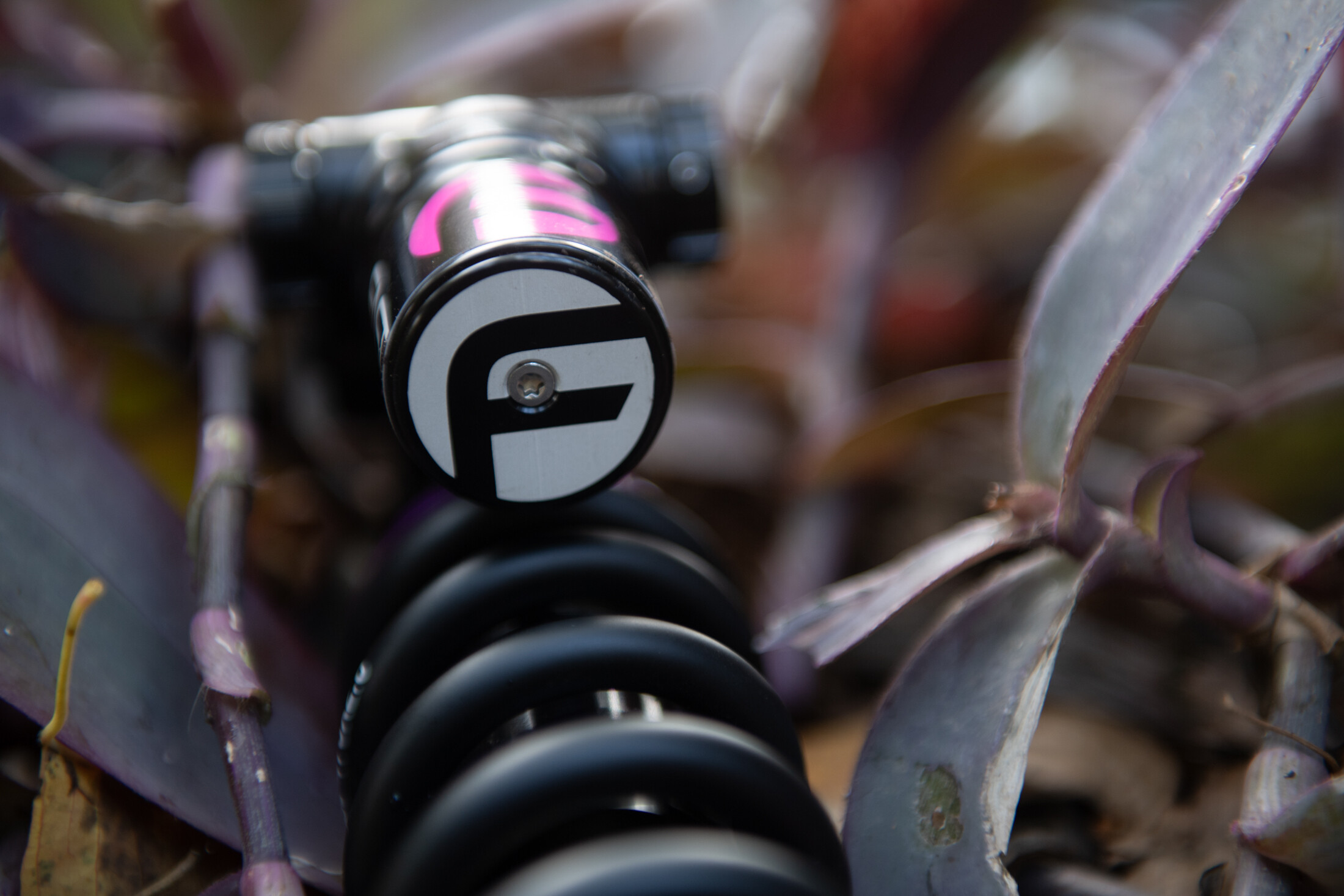 French Suspension Fun: Fast Suspension Fenix 2.0 - Mountain Bike ...