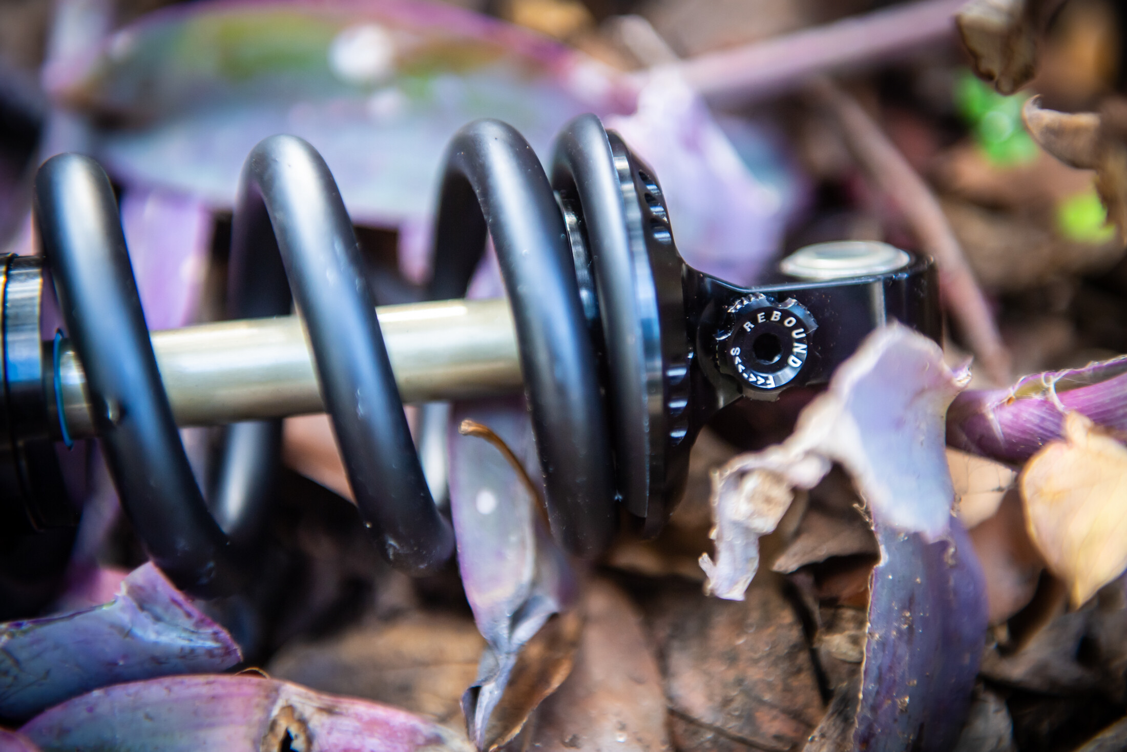 French Suspension Fun: Fast Suspension Fenix 2.0 - Mountain Bike ...