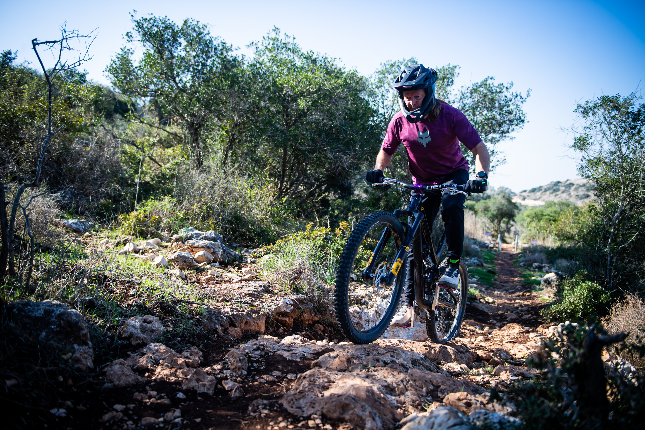 French Suspension Fun: Fast Suspension Fenix 2.0 - Mountain Bike ...