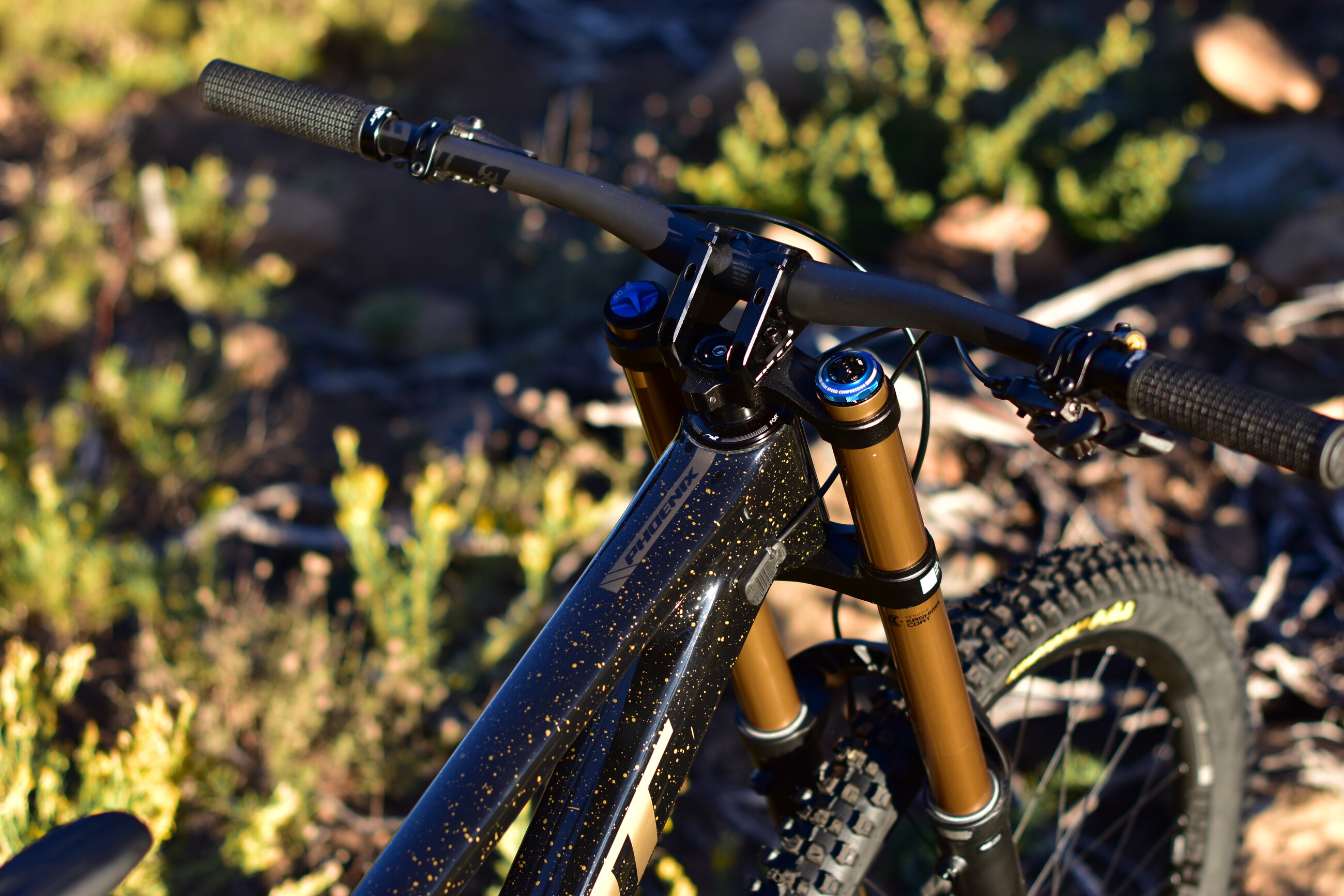 2025 Pivot Phoenix Downhill Bike Review - Mountain Bike Feature - Vital MTB