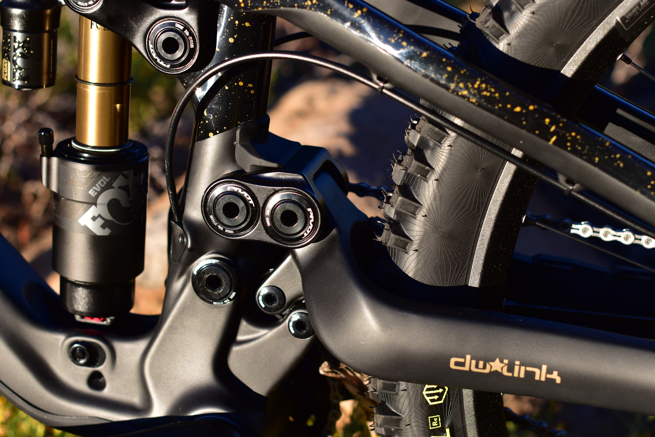 2025 Pivot Phoenix Downhill Bike Review - Mountain Bike Feature - Vital MTB