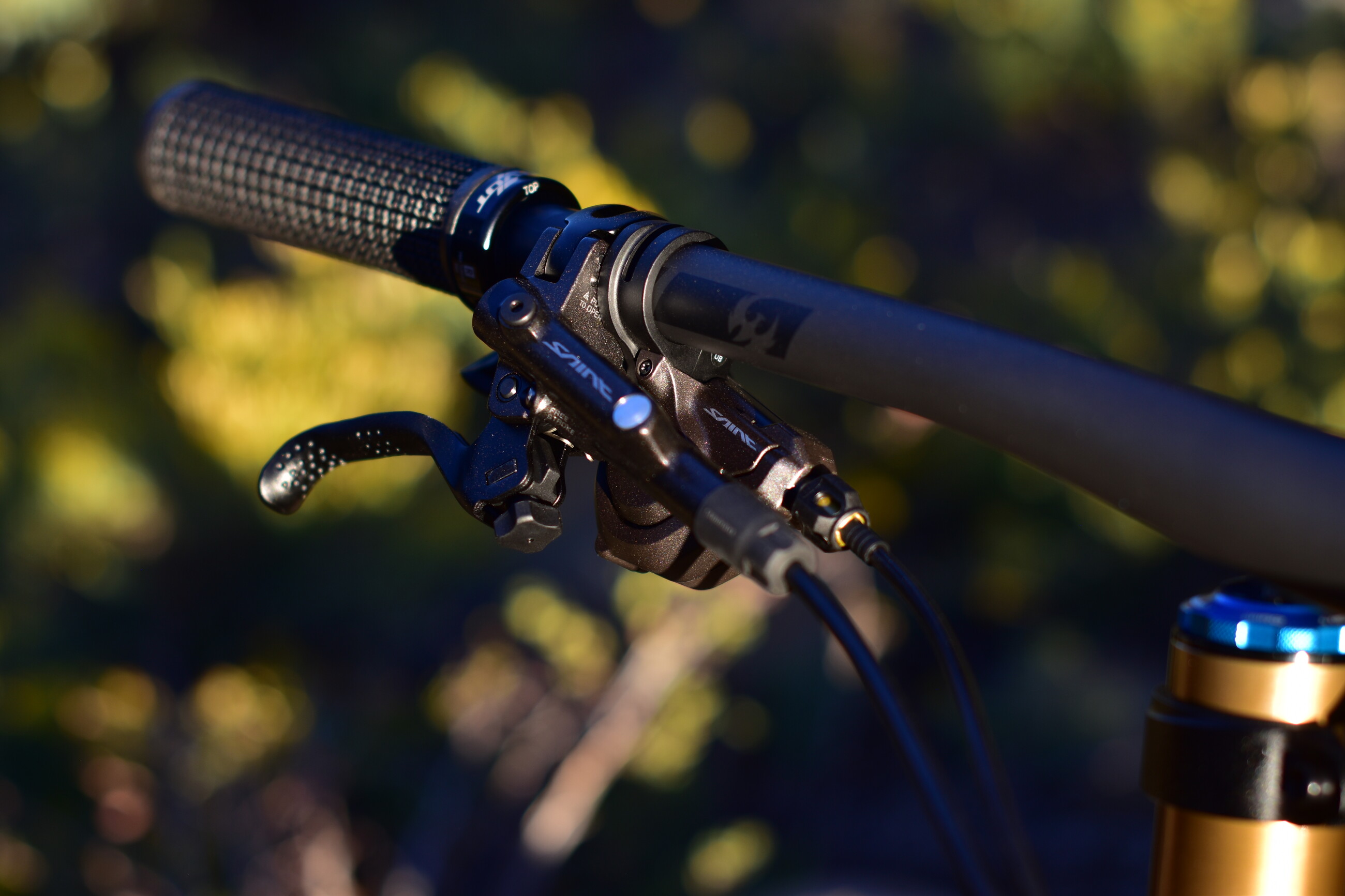 2025 Pivot Phoenix Downhill Bike Review - Mountain Bike Feature - Vital MTB