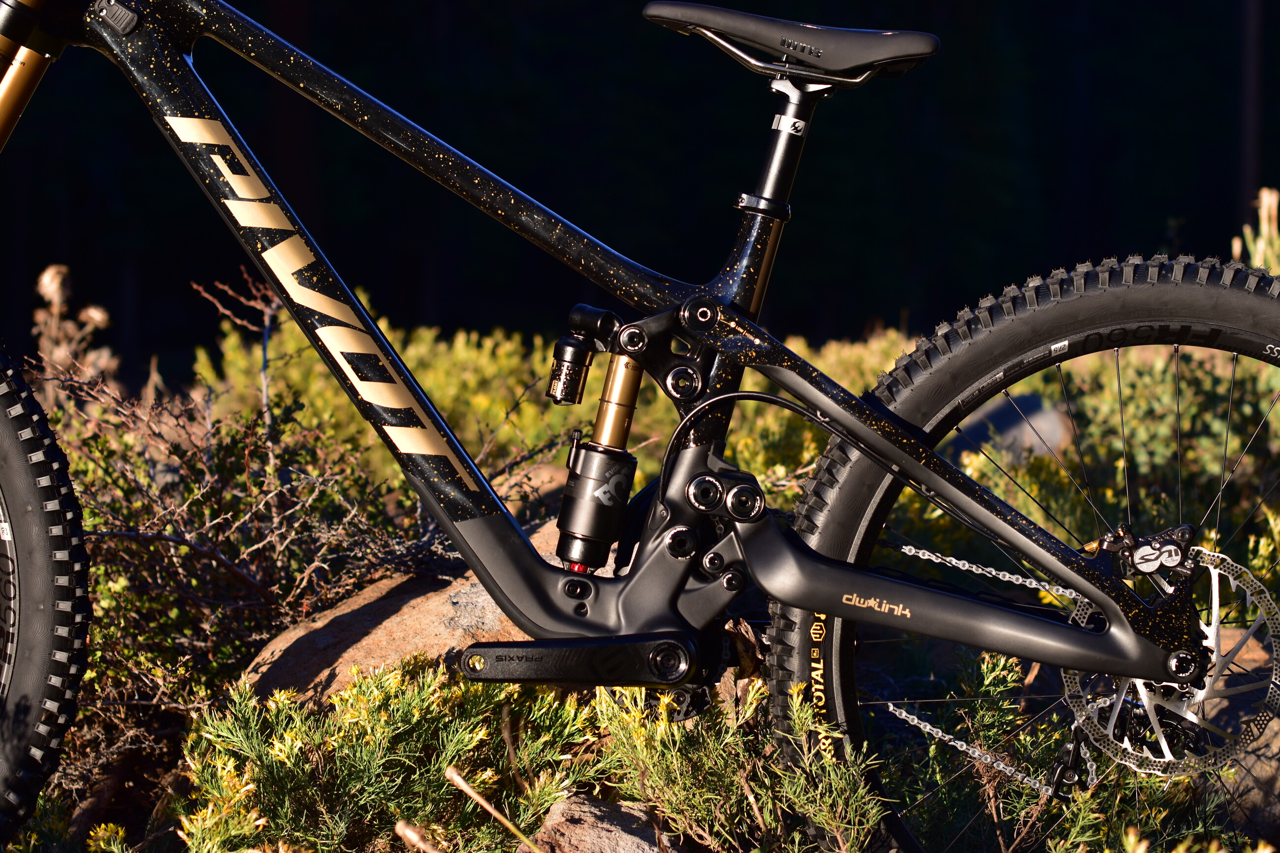 2025 Pivot Phoenix Downhill Bike Review - Mountain Bike Feature - Vital MTB