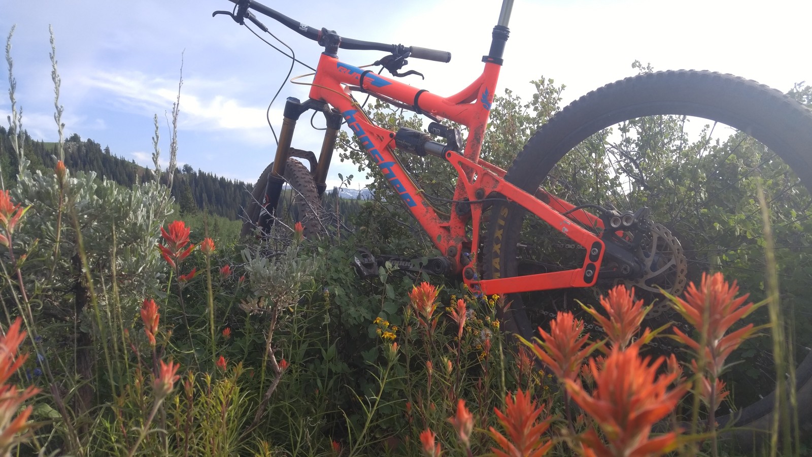 Banshee Rune (2017) Frame - Reviews, Comparisons, Specs - Frames ...